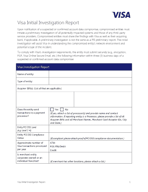 Fillable Online Visa Initial Investigation Report Fax Email Print - pdfFiller