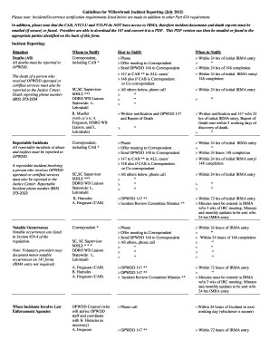 Fillable Online opwdd ny Guidelines for Willowbrook Incident Reporting ...