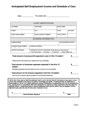 Fillable Online cscinc Anticipated Self-Employment Income and Schedule ...