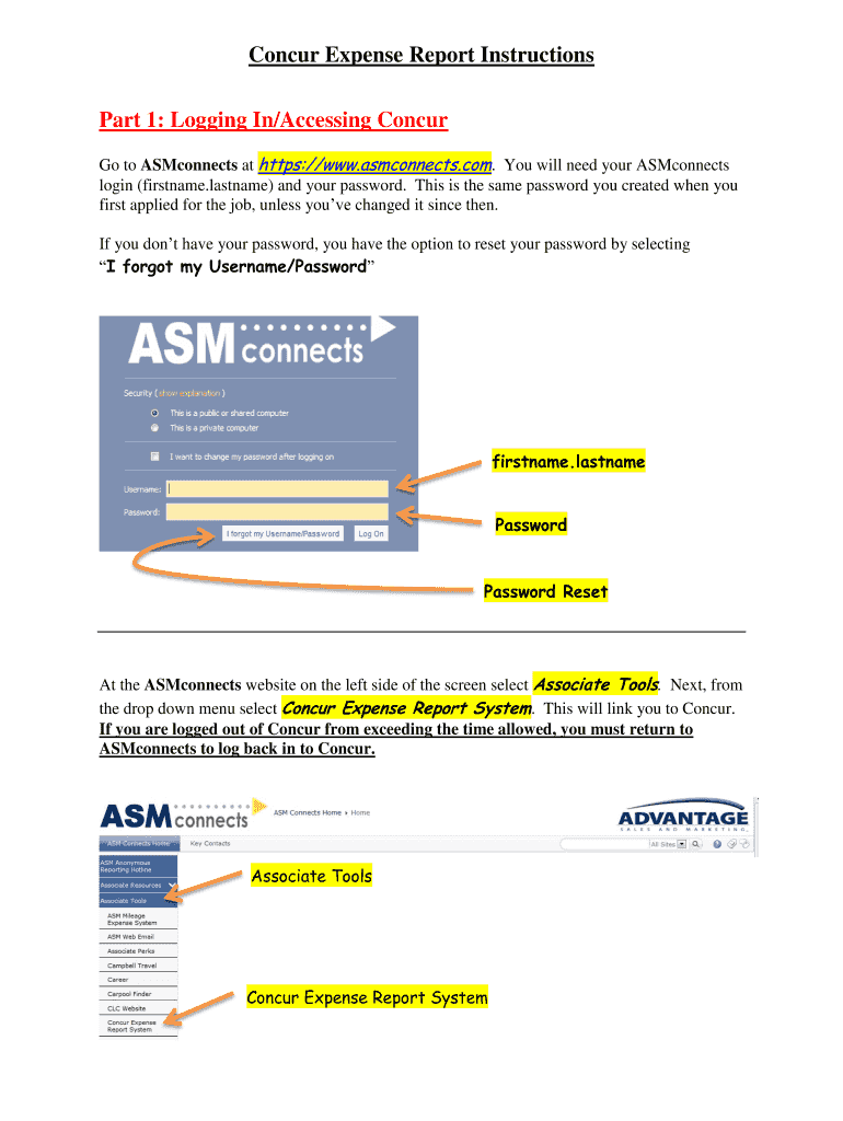 Fillable Online Concur Expense Report Instructions Fax Email Print ...