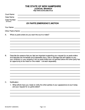 Fillable Online courts state nh Court Name: Fax Email Print - pdfFiller
