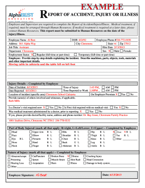 Fillable Online alphabest Example Workers compensation Report of ...