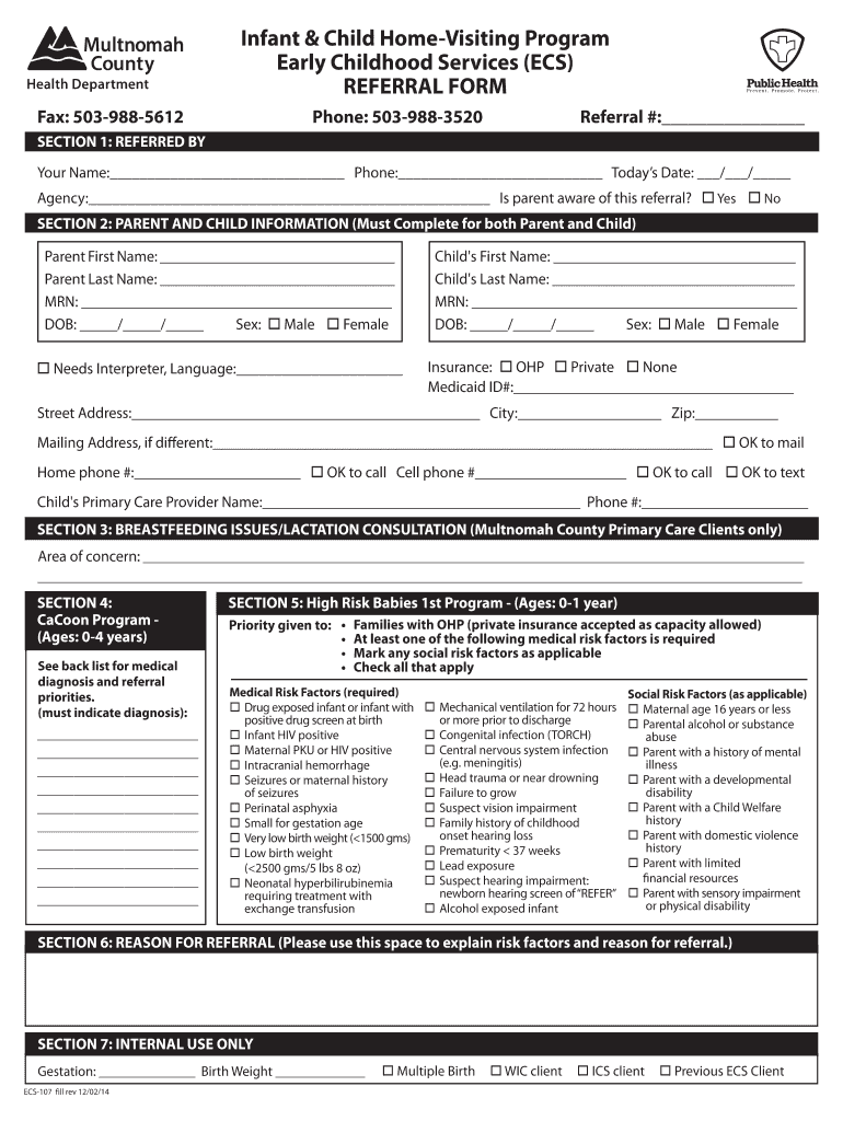 Fillable Online Infant & Child Home-Visiting Program Early Childhood ...