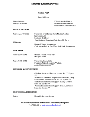 Fillable Online EXAMPLE CURRICULUM VITAE Fax Email Print - pdfFiller