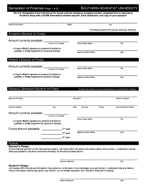 Fillable Online Declaration of Finance.doc Fax Email Print - pdfFiller