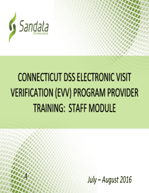 Fillable Online CONNECTICUT DSS ELECTRONIC VISIT Fax Email Print ...