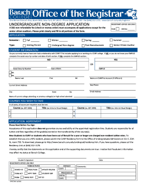 Fillable Online baruch cuny UNDERGRADUATE NON-DEGREE APPLICATION Fax Email Print - pdfFiller