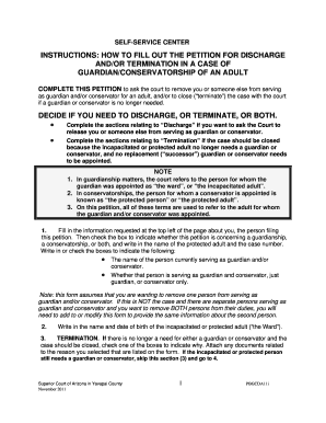 Fillable Online INSTRUCTIONS: HOW TO FILL OUT THE PETITION FOR ...