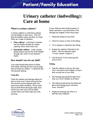 Fillable Online Urinary catheter (indwelling): Fax Email Print - pdfFiller