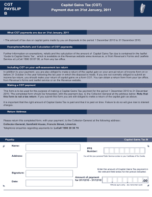 Fillable Online CGT B. CGT B form for the period 011210-311210 Fax ...