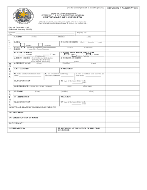 Fillable Online Municipal Form Birth Fax Email Print - pdfFiller