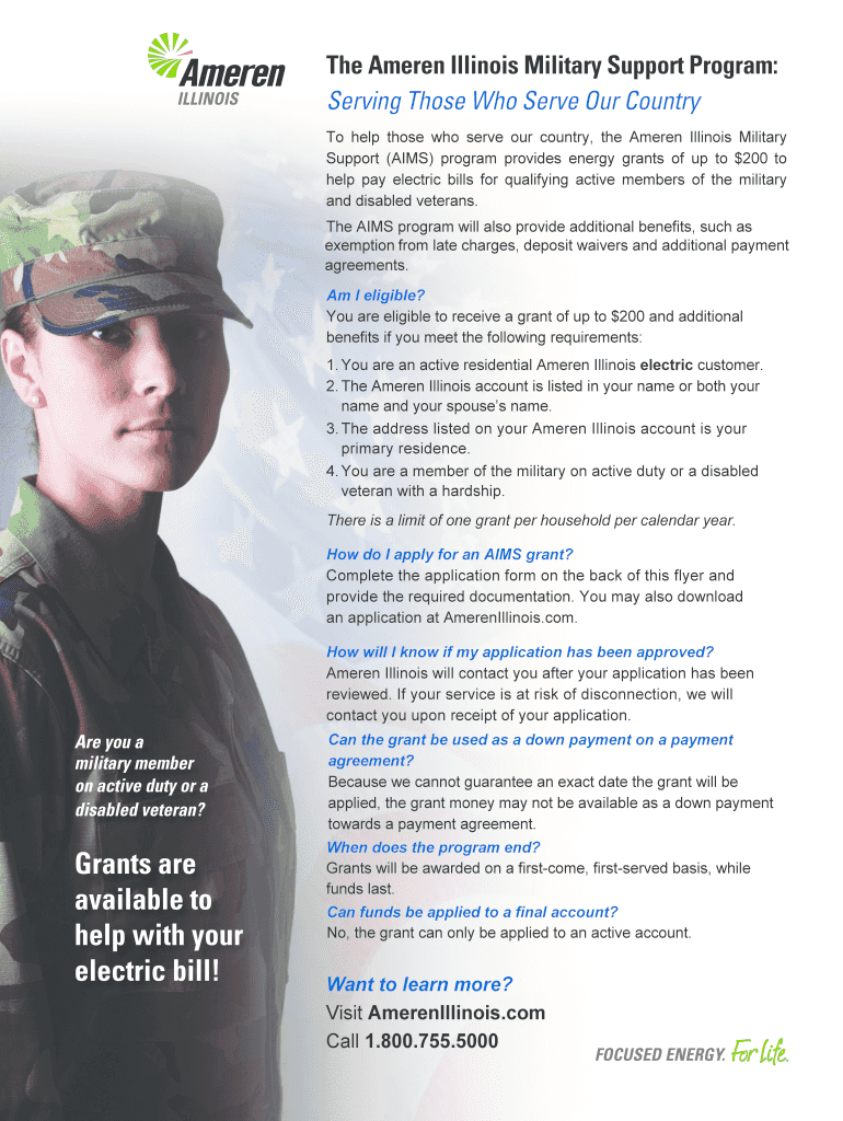 Fillable Online Ameren Illinois Military Support Program. Ameren ...