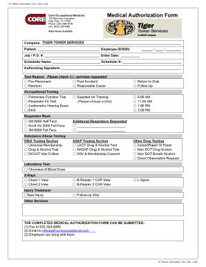 Fillable Online DP Medical Authorization Form Tiger v1 Fax Email Print ...