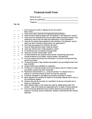 Fillable Online Financial Audit Form (Word) Fax Email Print - pdfFiller