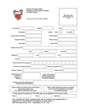 Fillable Online VISA APPLICATION FORM - VISAS Y VIAJES Fax Email Print ...
