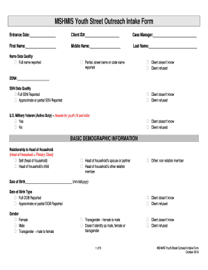 Fillable Online mihomeless MSHMIS Youth Street Outreach Intake Form ...