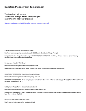 Fillable Online Donation Pledge Form Template - pdfslibforyou.com Fax ...