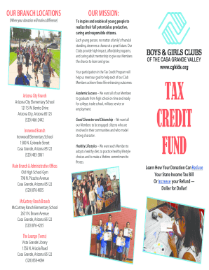 Fillable Online cgkids BGCCG Tax Pamphlet Brochure 2016 front Fax Email ...