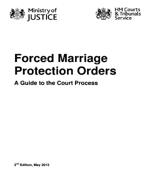 Fillable Online A Guide to the Court Process Fax Email Print - pdfFiller