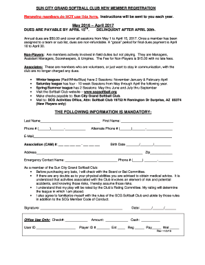 Scg Softball - Fill Online, Printable, Fillable, Blank | pdfFiller