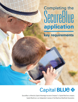 Fillable Online Completeing the SecureBlue application form - M9-31 ...