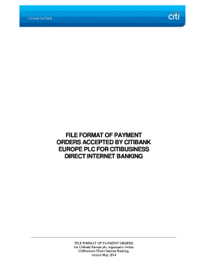 Fillable Online citibank FILE FORMAT OF PAYMENT ORDERS ACCEPTED ...