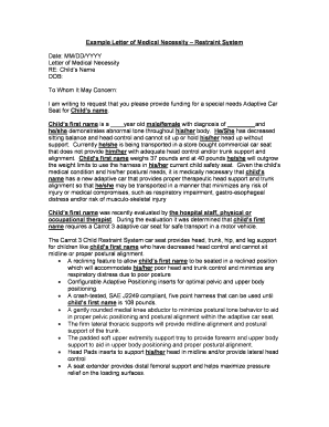 Fillable Online Example Letter of Medical Necessity Restraint System ...