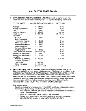 Fillable Online MSU CAPITAL ASSET POLICY Fax Email Print - pdfFiller