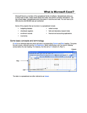 Fillable Online What is Microsoft Excel Fax Email Print - pdfFiller