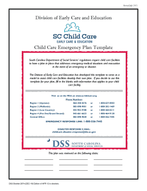Dss Form 2900 - Fill Online, Printable, Fillable, Blank | pdfFiller