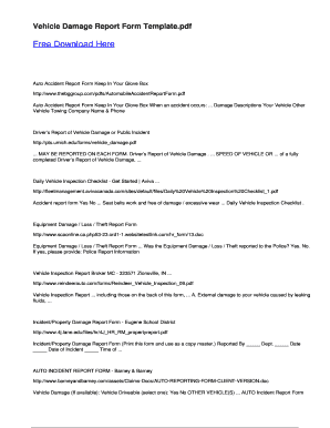 Fillable Online Vehicle Damage Report Form Template - pdfsdocuments2 ...