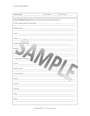 Fillable Online intakeforms SAMPLE Intake Assessment DSM V.doc ...