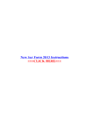 Fillable Online New Sar Form 2013 Instructions Fax Email Print - pdfFiller