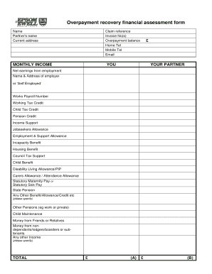 Fillable Online epsom-ewell gov Financial Assessment Form. Financial ...