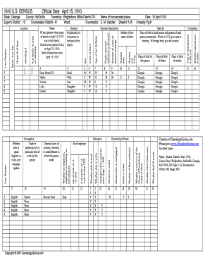 Fillable Online Mollie Hunt 1910 Census Form Transcribed.doc Fax Email ...