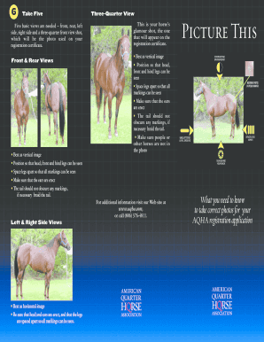 Fillable Online Take Five Fax Email Print - pdfFiller