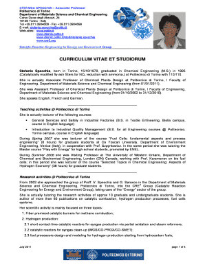 Fillable Online disat polito curriculum vitae et studiorum - DISAT ...