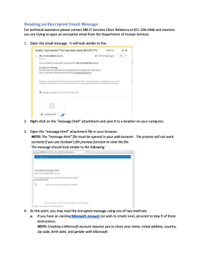 Fillable Online dhs state mn Encrypted Email Instructions - dhs state ...