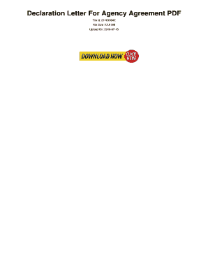 Fillable Online Declaration Letter For Agency Agreement PDF ...