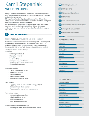 Fillable Online CV Form pdf Fax Email Print - pdfFiller