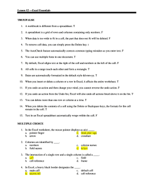 Fillable Online Lesson 12 Excel Essentials Fax Email Print - pdfFiller