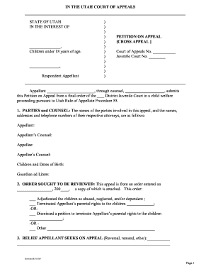 Fillable Online PETITION ON APPEAL CROSS APPEAL Fax Email Print - pdfFiller