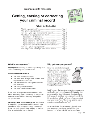 Fillable Online Expungement In Tennessee Fax Email Print - pdfFiller