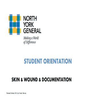 Fillable Online SKIN & WOUND & DOCUMENTATION Fax Email Print - pdfFiller