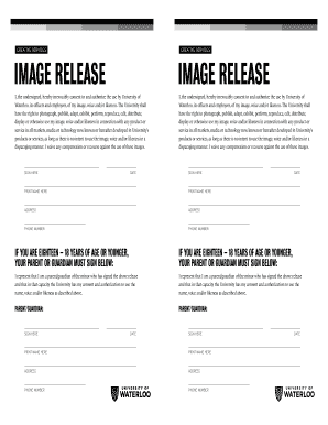 Fillable Online I, the undersigned, hereby irrevocably consent to and ...