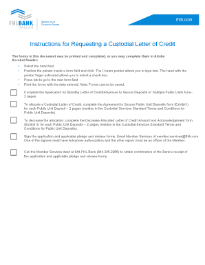 Fillable Online Instructions for Requesting a Custodial Letter of ...