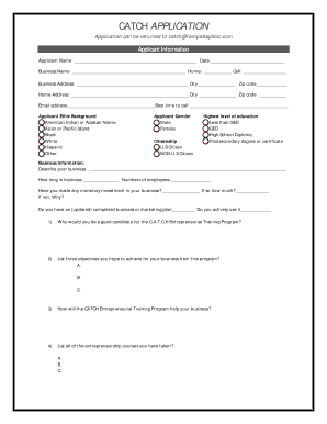 Fillable Online CATCH Application (2) - Tampa Bay Black Business ...