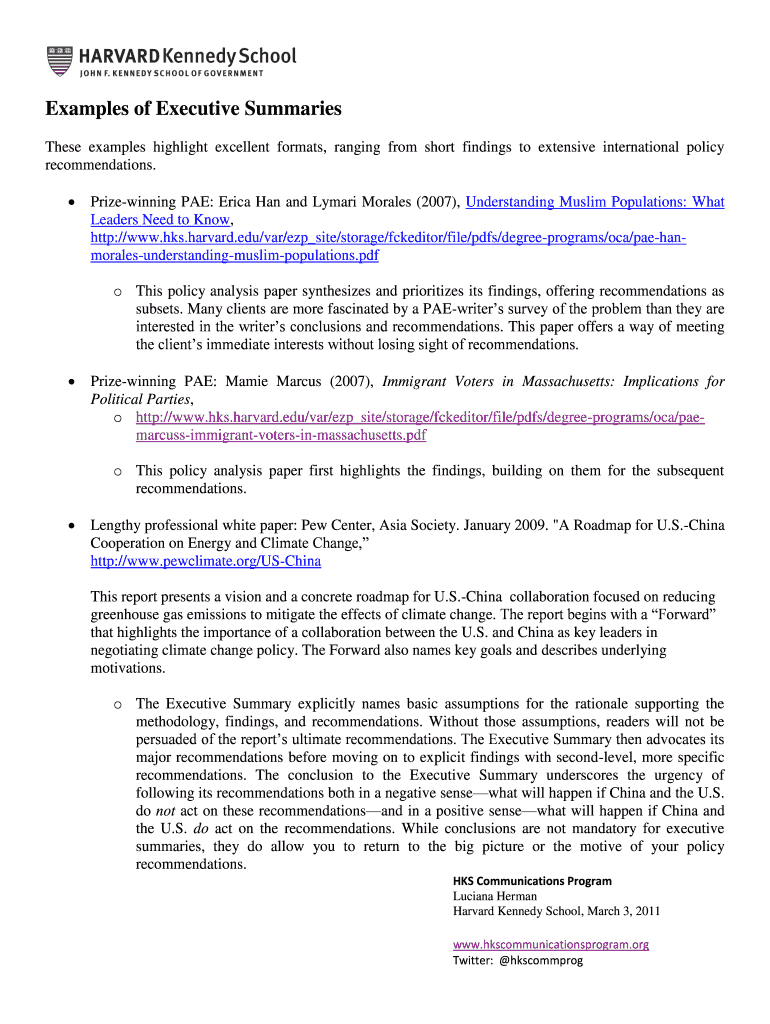 Fillable Online Examples of Executive Summaries Fax Email Print - pdfFiller