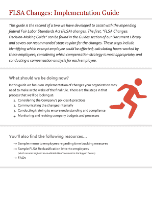 Fillable Online FLSA Changes: Implementation Guide Fax Email Print ...