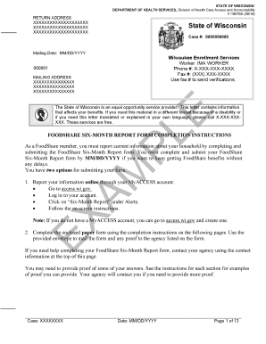 Fillable Online Sample Six-Month Report form instructions - Wisconsin ...